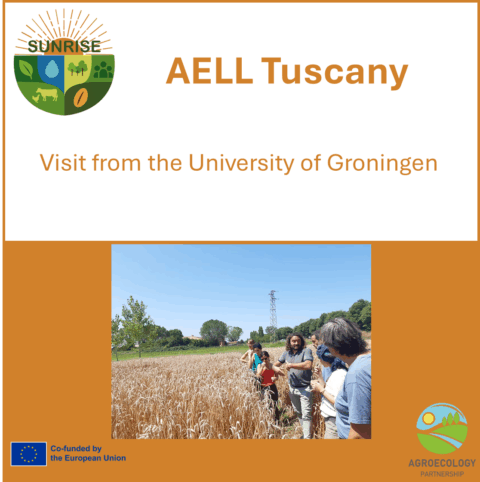 AELL Tuscany: Visit from the University of Groningen | Sunrise Agroecology